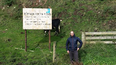 Toheroa: A fabled shellfish that nearly vanished