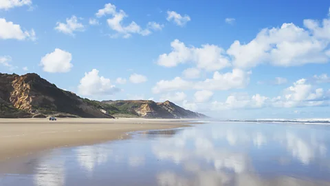 Toheroa: A fabled shellfish that nearly vanished