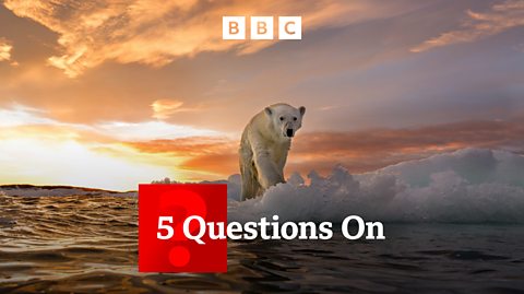 Effects of global warming - BBC News
