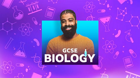 GCSE Biology exam 2023 revision support - BBC Bitesize