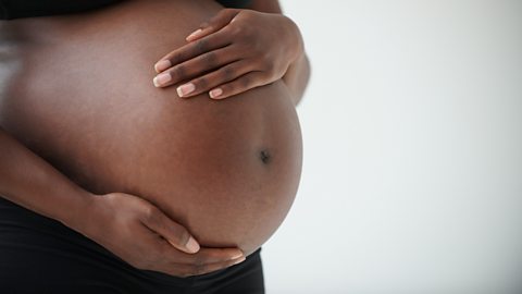 Pregnancy - BBC News