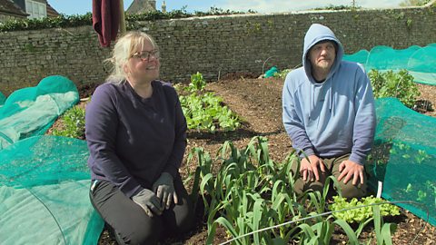 BBC - The Big Help Out