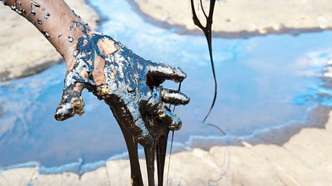 Brent & WTI Oil Futures Price & Updates - BBC News