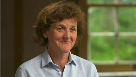 Rewilding - BBC News