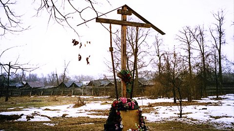 Vladimir Putin - BBC News