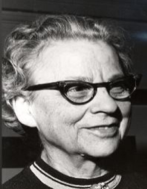 Business and fair trade - BBC Bitesize