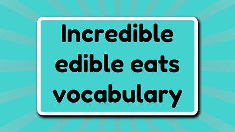 Healthy eating vocabulary - KS1 English curriculum - BBC Bitesize