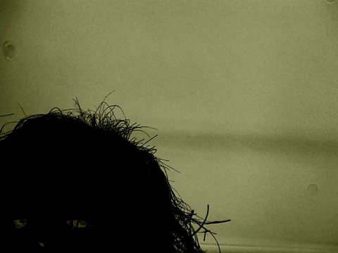 BBC Radio 4 - Uncanny - Is this a photo of a ghost?