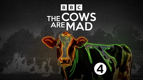 BBC Radio 4 - Rare Earth - Should we just leave nature alone?