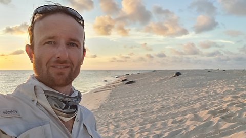 BBC One - Planet Earth III - Three perspectives on Raine Island