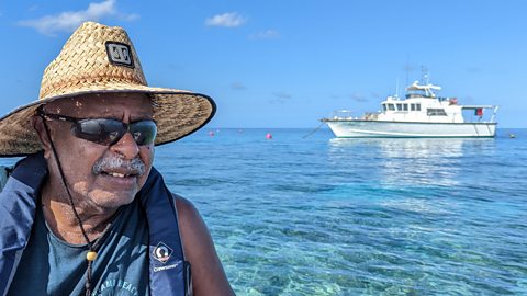 BBC One - Planet Earth III - Three perspectives on Raine Island