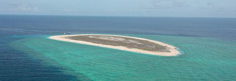 BBC One - Planet Earth III - Three perspectives on Raine Island