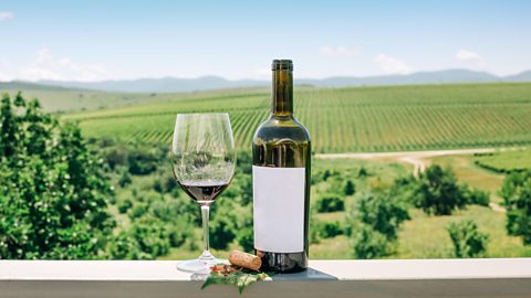 Wine - BBC News