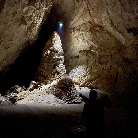 BBC One - Planet Earth III - Lighting the darkness in one of the world ...