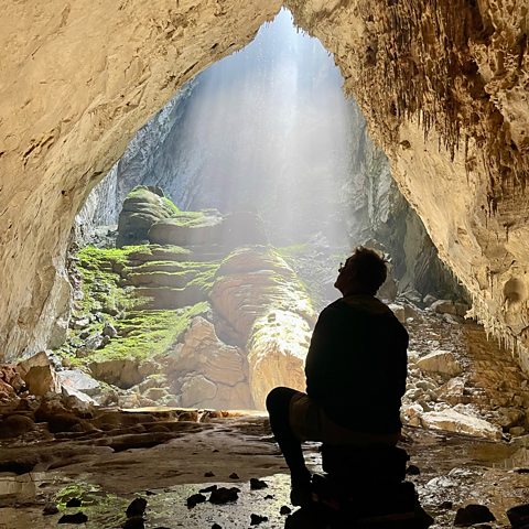 BBC One - Planet Earth III - Lighting the darkness in one of the world ...