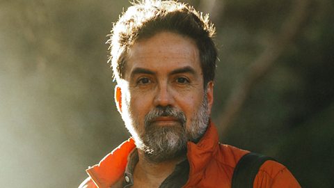 Sexual harassment - BBC News