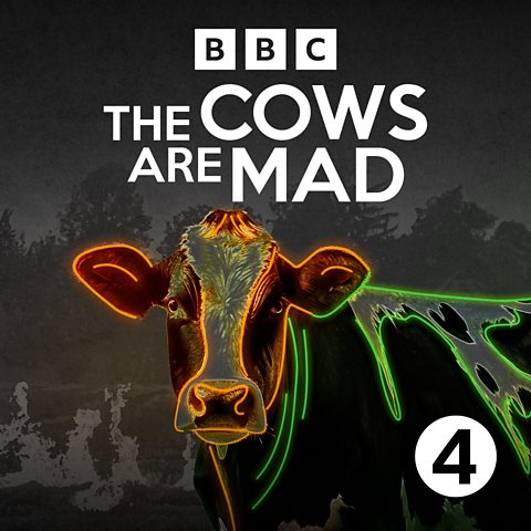 BBC Radio 4 - The Cows Are Mad - The Cows are Mad: Ten things we learned about Mad Cow Disease