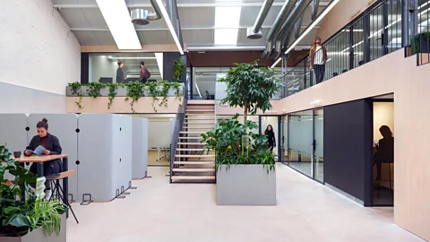 After WeWork's bankruptcy, what is the future of coworking?