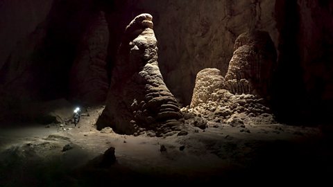 BBC One - Planet Earth III - Extremes: What to expect
