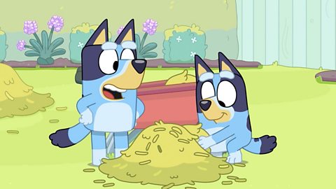 Watch clips from Bluey - CBeebies - BBC