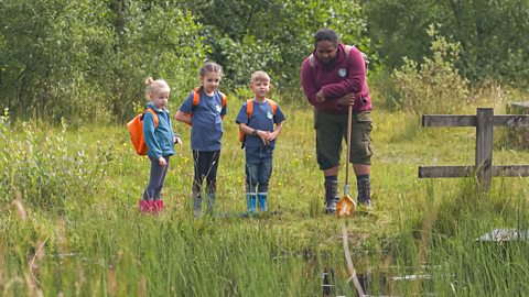 Ranger Hamza's Eco Quest - CBeebies - BBC