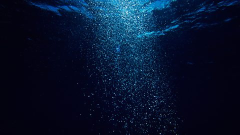 Deep-sea exploration - BBC News