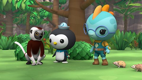 Octonauts Above & Beyond - CBeebies - BBC
