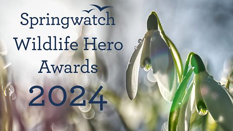 BBC Two - Winterwatch, Series 12, Episode 2 - Springwatch Wildlife Hero ...
