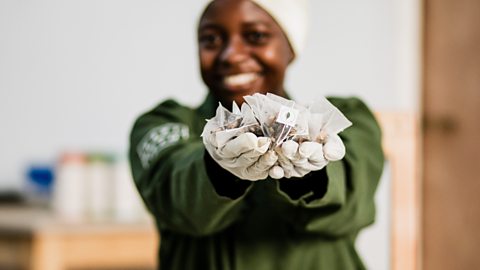 Sustainability - BBC News