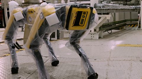 Robotics - BBC News