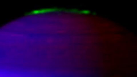Reading University study into Saturn's northern lights - BBC News