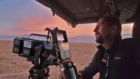 BBC One - Mammals - Seeing a softer side to hyenas