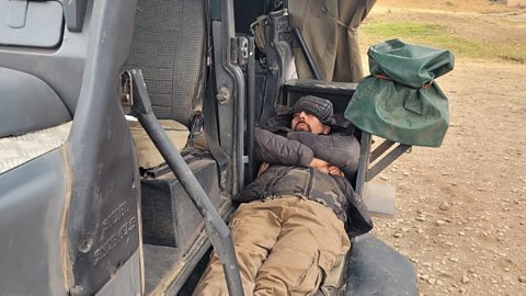 BBC One - Mammals - Seeing a softer side to hyenas