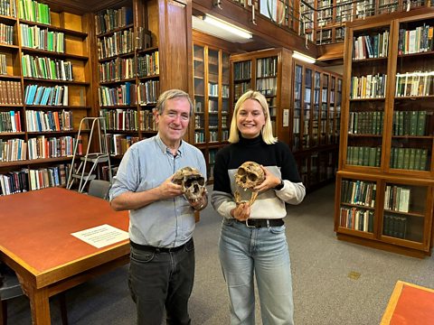 Population growth - BBC News