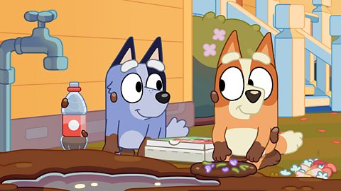 Bluey - CBeebies - BBC