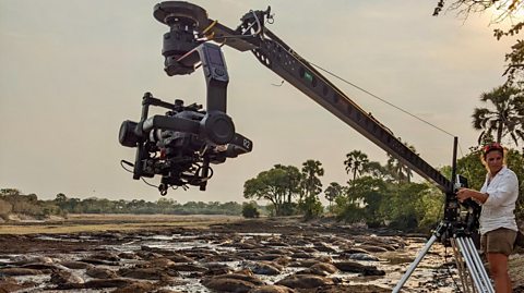 BBC One - Mammals - Overcrowding hippos in Tanzania's dry season