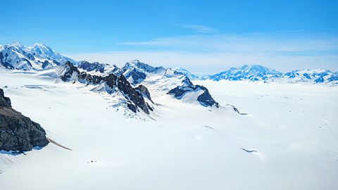 BBC One - Mammals - Filming pika: Making hay while the sun shines