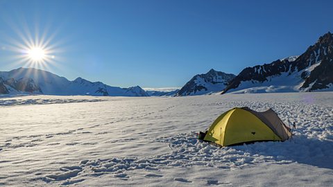 BBC One - Mammals - Filming pika: Making hay while the sun shines