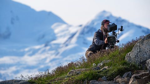 BBC One - Mammals - Filming pika: Making hay while the sun shines