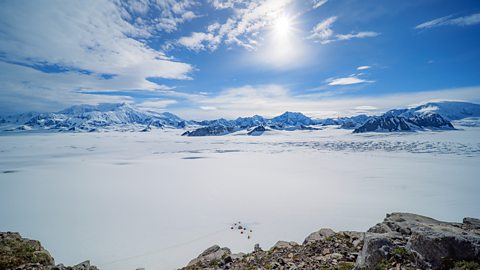 BBC One - Mammals - Filming pika: Making hay while the sun shines