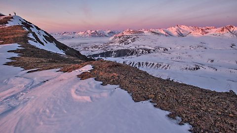 BBC One - Mammals - Uncovering the world of the wolverine