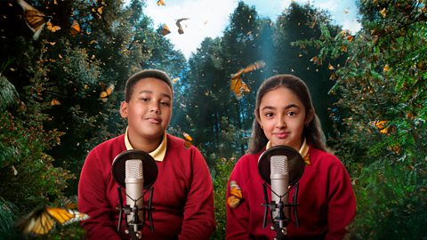 All-things Animals on iPlayer - CBBC - BBC