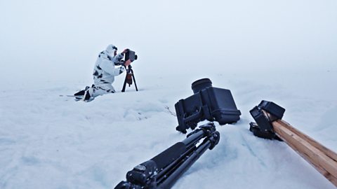 BBC One - Mammals - Filming in the Cold