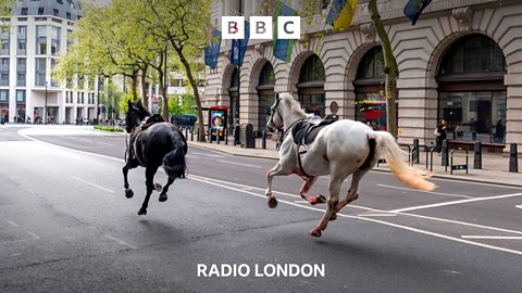 London | Latest News & Updates | BBC News