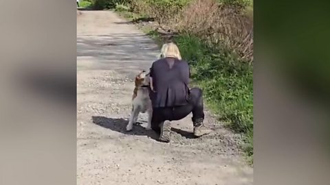 Shaun Ryder reunited with lost dog Malcolm after Peak District search ...