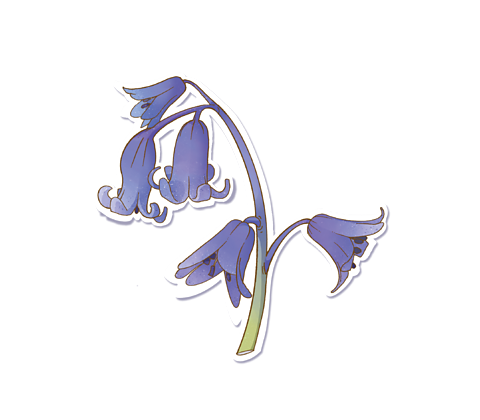 Creative Lab - KS1 Art and Design - BBC Bitesize