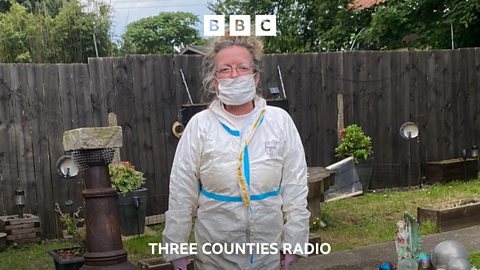 Beds, Bucks and Herts | Latest News & Updates | BBC News