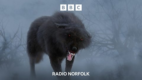 Norfolk | Latest News & Updates | BBC News