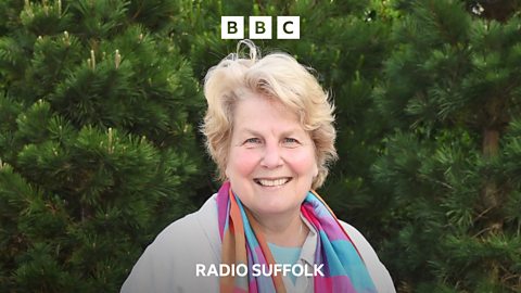 Suffolk | Latest News & Updates | BBC News