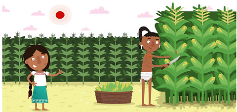 The Ancient Maya Civilisation | KS2 Topics | Ages 7-11 - BBC Bitesize